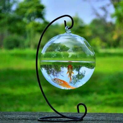 Round Shape Hanging Glass Aquarium Fish Bowl Fish Tank
