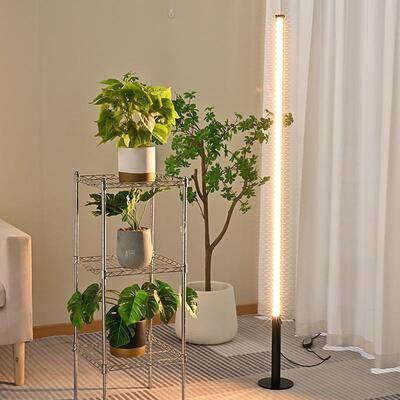 （大促销G1140W多）肉CBM开结植物生长补光灯植果物上色果花实增