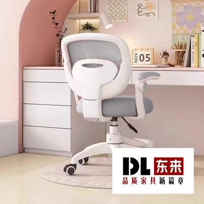 儿童学习椅子升小生写字座椅家用书可降写JFX作业专用凳学久坐舒