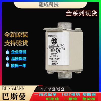 巴斯曼170M2765 170M2766 170M2767 厂家直供直销价优 方体熔断器
