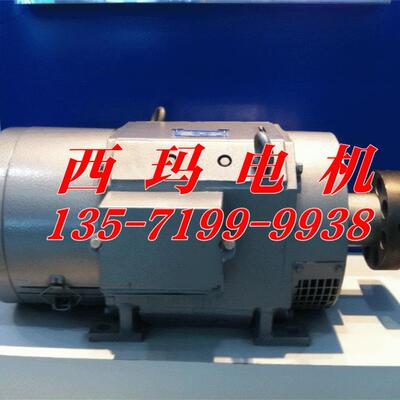 西安泰富西玛ZTP-120.8W铁路用电机