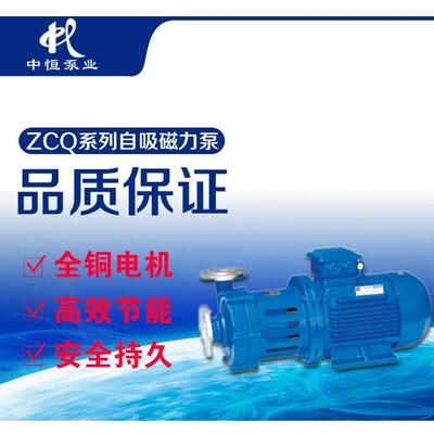 中恒泵业ZCQ80-65-160自吸磁力泵不锈钢无泄漏卧式自吸泵厂家直销