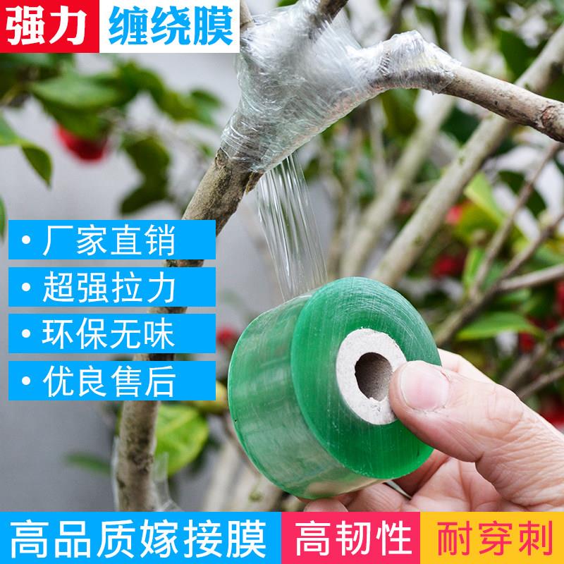 果树专用嫁接膜 树木自粘树苗专用免拆植物桃树荔枝高级嫁接膜