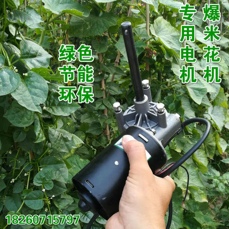 电机12V爆米花机设备电机家用配件爆谷通用商用变频无刷马达包邮