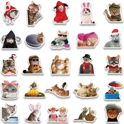 Funny Cute MEME Cat Animals Stickers Kawaii Cats Graffiti De