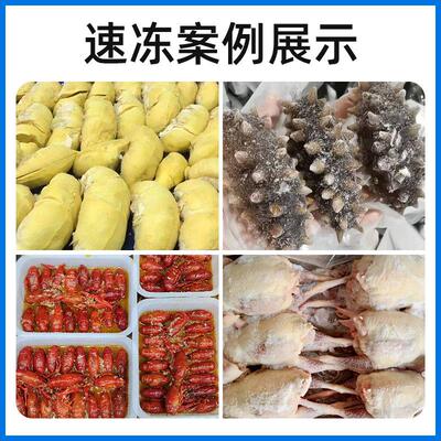 型速冻柜液氮低温速冻机氮冷YDG-7P冻机包子水饺海鲜速小冻柜食品