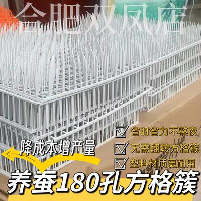 运虹180孔钉钉簇平底结构吐丝蚕结茧网方格簇养蚕工具塑料钉钉簇