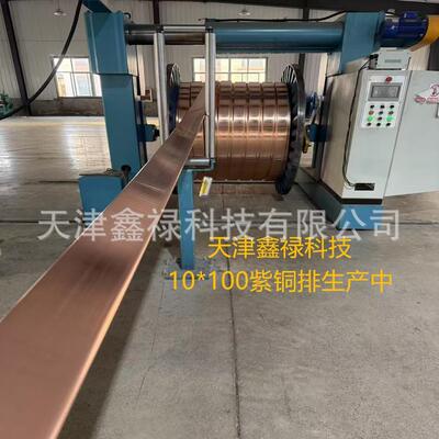 天津t2紫铜排100*10镀锡紫铜排倒角铜排卷排国标紫铜排切割高导电