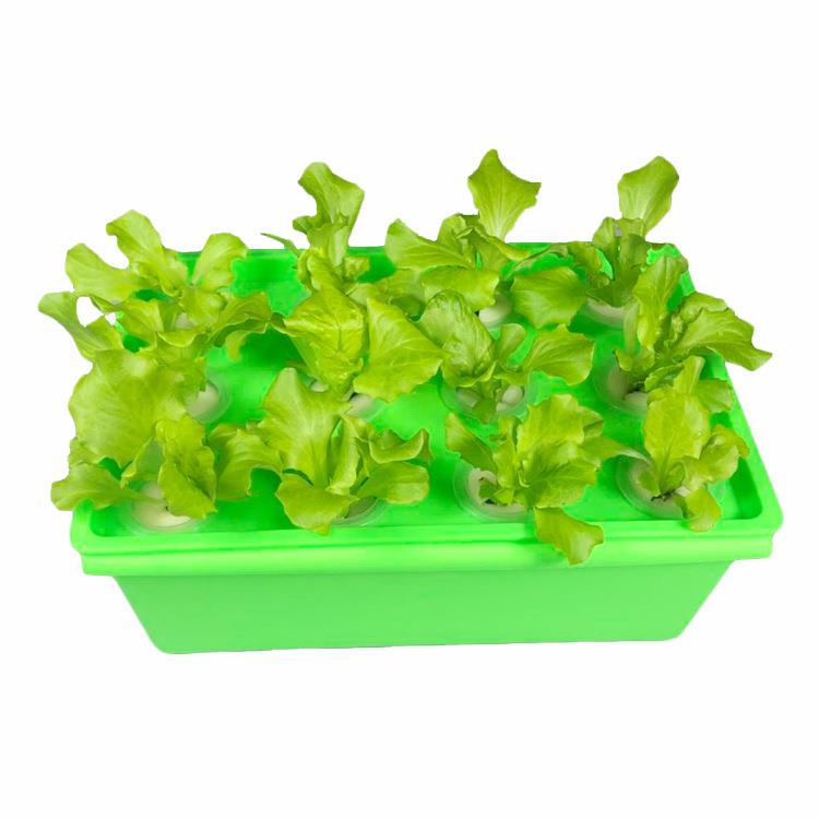 箱式无土栽培设备水培蔬菜阳台种植花卉自动循环水耕机花盆