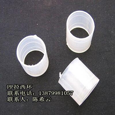 厂家供应聚丙烯拉西环 塑料拉西环 聚丙烯填料 PP拉西环φ25mm