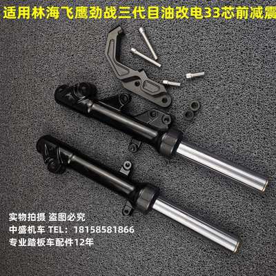 林海飞鹰劲战 三代目前避震器油改电鹿城33芯实心右碟前避震转接