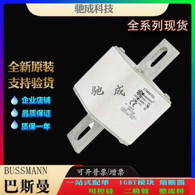 巴斯曼170M6699 170M6700 170M6701 厂价供应批零兼营 紧凑熔断器
