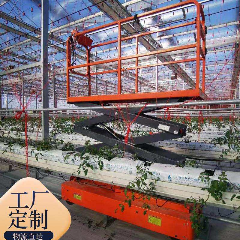 工厂直供果园升降平台 电动农用大棚采摘升高车 果园采摘升降机