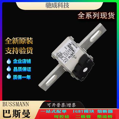 巴斯曼170M4765 170M4766 170M4767 现货供应厂价直供 快熔保险丝