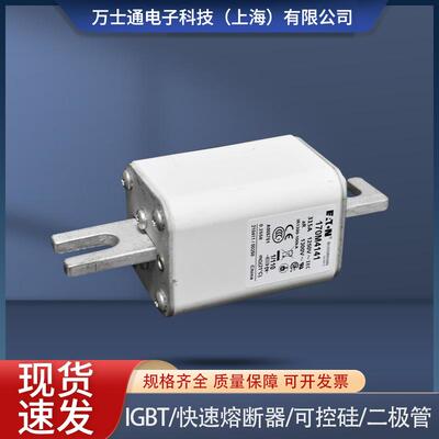 熔断器170M4138/4139/4140/4141/4142/414/4144/4145/4146/4147