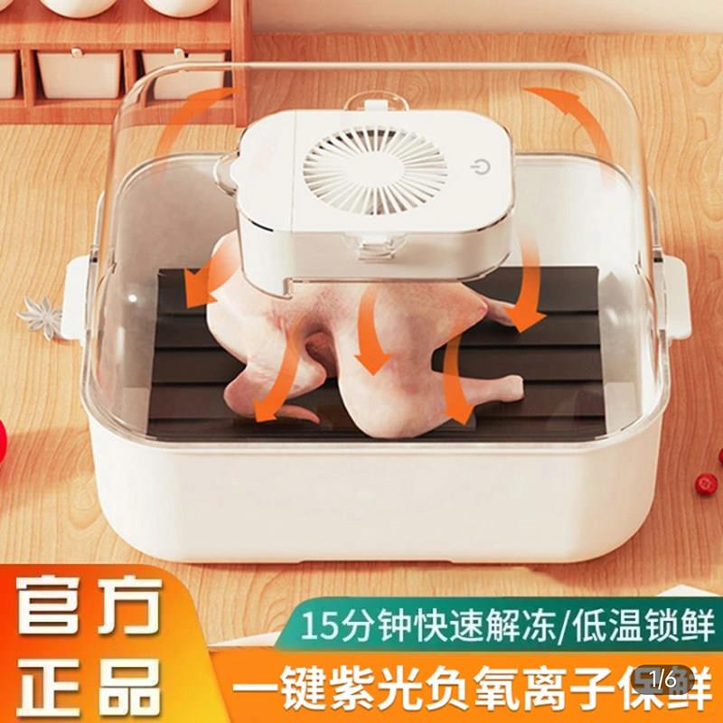 德国黑科技快速解冻神器家用多功能食物保鲜机商用智能冻肉化冻盘