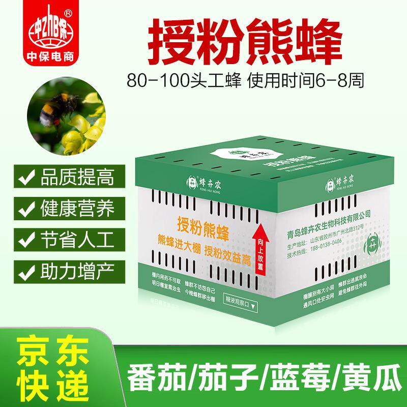 授粉熊蜂雄蜂番茄黄瓜授粉草莓蓝莓授粉约100只(蜂王工蜂)6-8周
