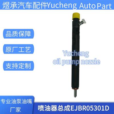 EJBR05301D喷油器适用德尔福喷油嘴总成全新品质稳定耐用