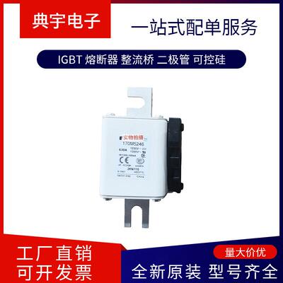 熔断器170M5214 5215 5216 5217 5218 5237 5238 5239 型号齐全