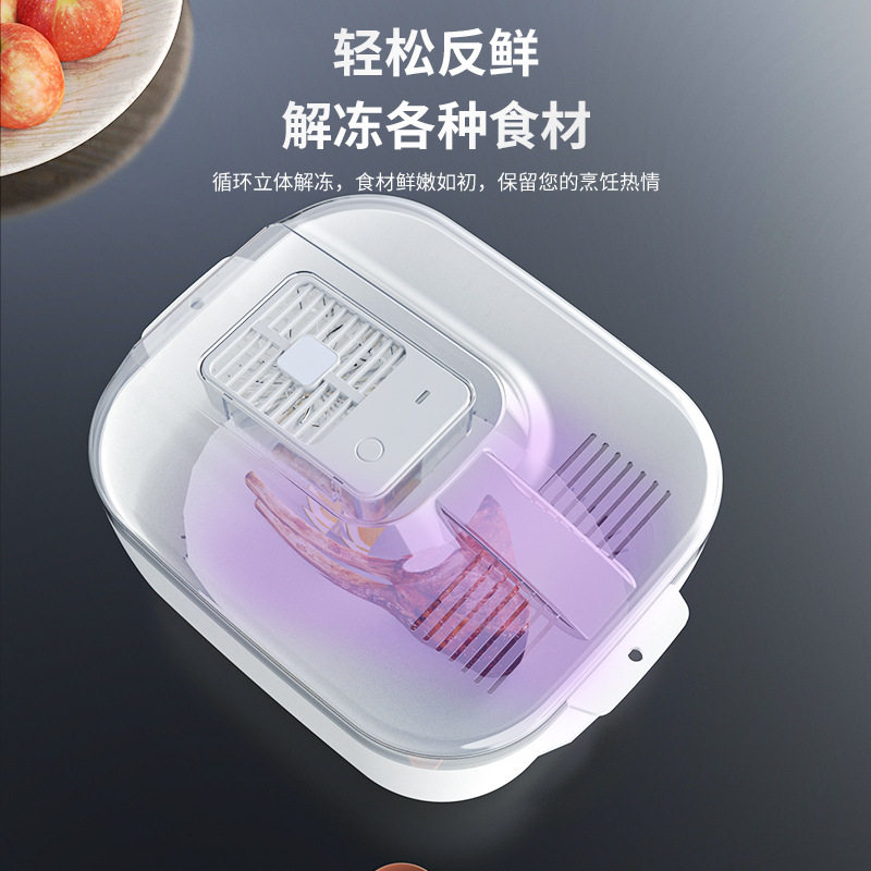 解冻神器家用快速解冻器食品保鲜化冻机智能恒温冻肉类快速解冻机