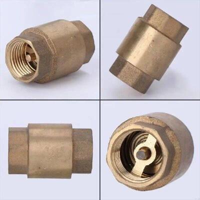 B9HB NPT Brass In-Line Spring Vertical Check for Valve