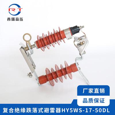 厂家供应可卸式避雷器复合绝缘跌落式避雷器HY5WS-15/50DL-TLQ