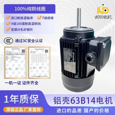 台款铝壳立式电机250W4极63B14电机非标长轴马达纯铜线圈电动机