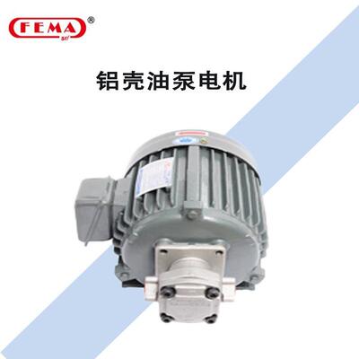 FEMA菲玛铝壳油泵电机132L2-4Motor11KW24A1450转空心轴