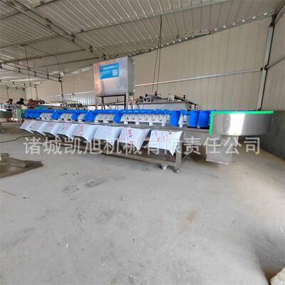 水果重量筛果机百香果西红柿全源动称重分选机头TRQ厂家自售后无