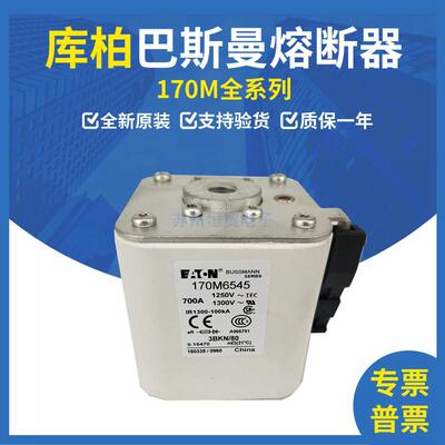 巴斯曼熔断器170M6498 6499 6501 6541 6545 6548 6549 6663 6665