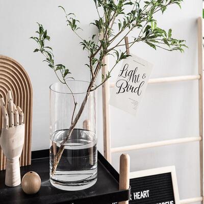 Vase furnishing articles flower arranging transparent glass