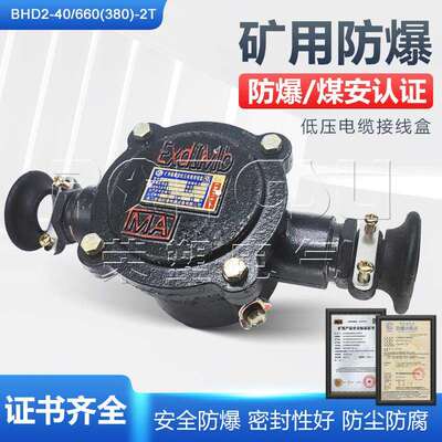 BHD2-40/660(380)-2T矿用隔爆型压低电缆接线盒防爆铸铁40A二通