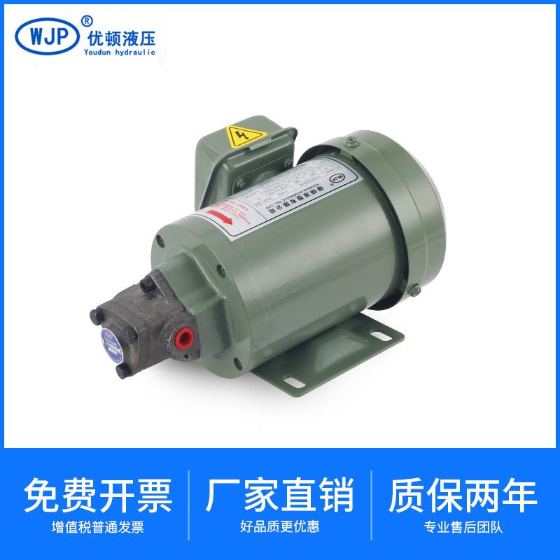 JWP小型308V润滑泵三角摆线液压齿PIX轮泵2A1泵3A维良油泵电机