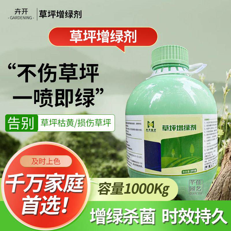 草坪增绿剂枯草染色剂园林植物一喷绿草坪工程应急检查快速着色剂