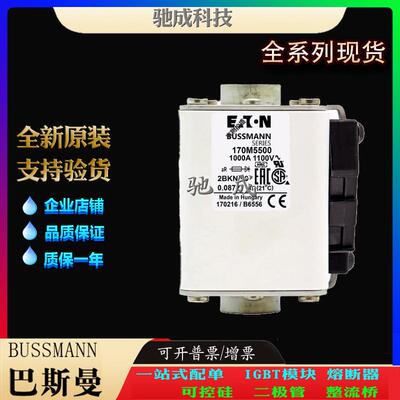 巴斯曼170M5588 170M5589 170M5590 加工制作零售 快熔保险丝