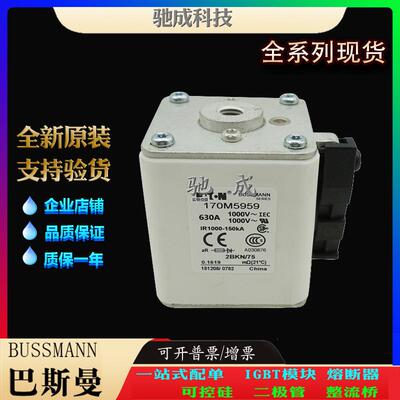 巴斯曼170M5958 170M5959 170M5960 厂价供应出厂价格 特种保险丝