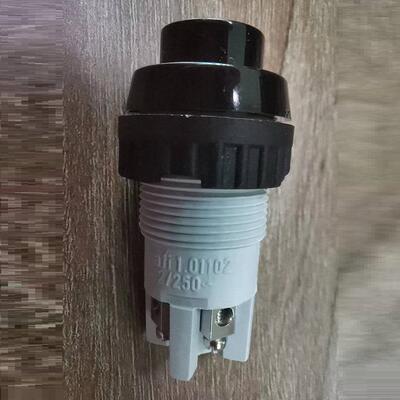 德国RAFI自复位按钮开关，裁断机按键开关1.01.102.011/0104