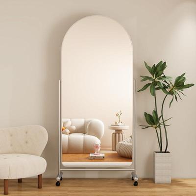 全身镜动落地家用TND可移服衣装店专镜用子不锈钢穿衣试穿衣镜