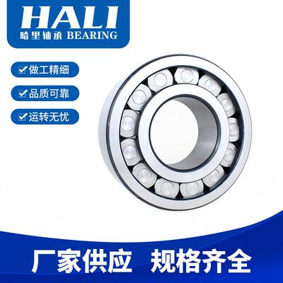 高承重加厚满滚柱圆柱滚子轴承SL192320 SL192322 SL192328轴承