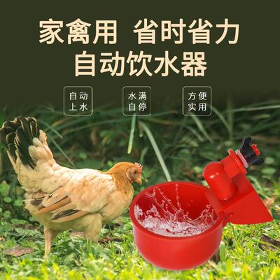 New Thickened Durable Automatic Waterer for Raising Chickens