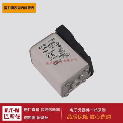 熔断器170M3956 170M3957 170M3958 170M3959 170M3960 170M3961