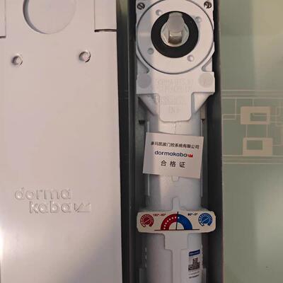 dormakaba德国多玛BTS80重型地弹簧300公斤BTS65.75防伪可查