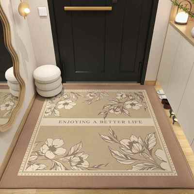 入户地垫进关简门垫门口门脚垫奶油风耐脏ltao7524地毯可擦免洗家