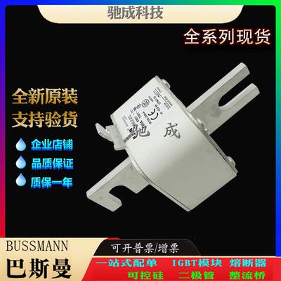 巴斯曼170M6219 170M6220 170M6221 原装进口价优 低压熔断器