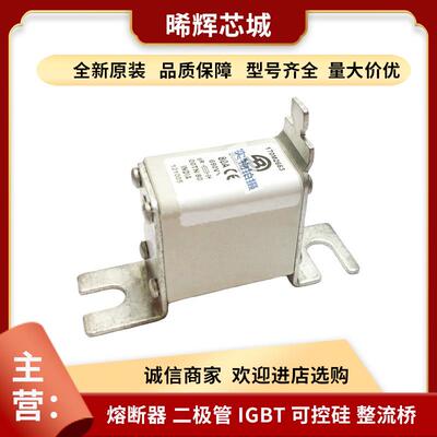 直供170M2663 170M6812D 型号齐全巴斯曼直流快速熔断器 标准封装