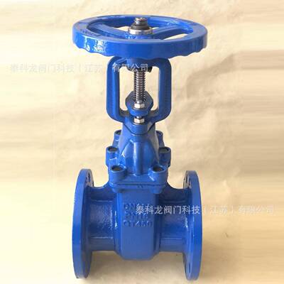 Z41T-16Q球墨铸铁法兰明杆铜芯铜杆闸阀人防专用防护阀门DN80150