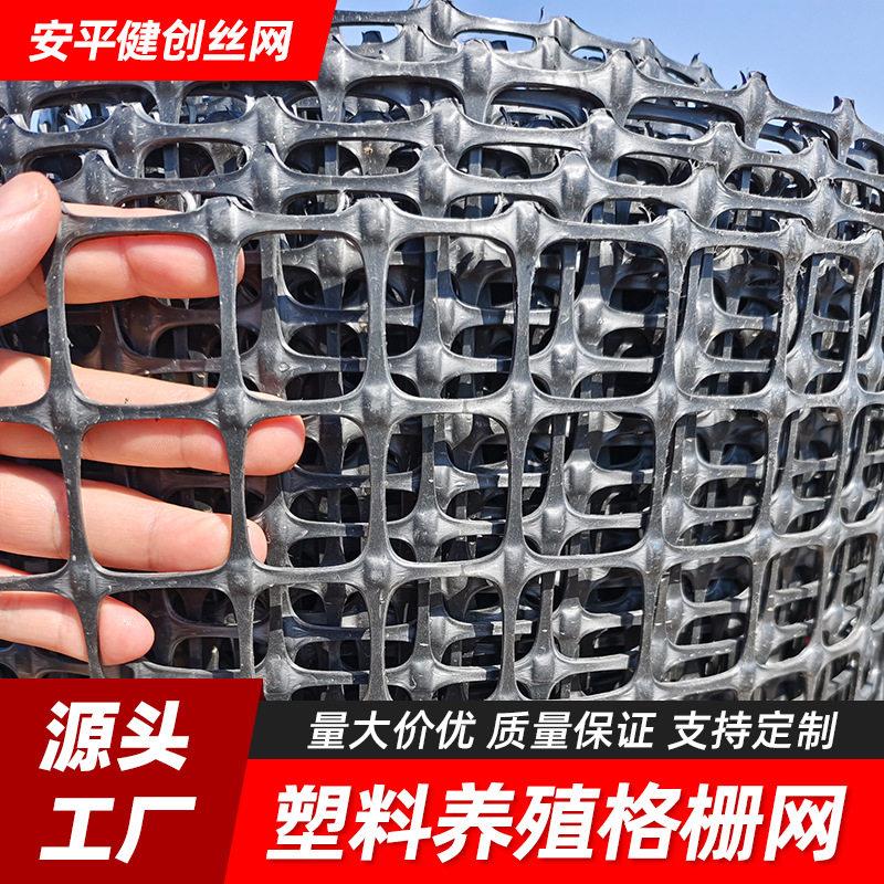 塑料网养殖网 塑料格栅 鸡网 小孔养鸡网 围栏网 防护栏土工隔离