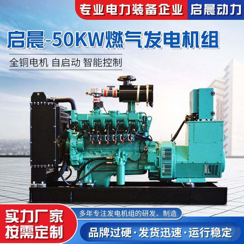 50KW天然气发电机组燃气发电设备全铜无刷电机养殖场污水处理发电