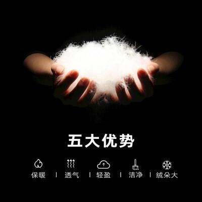 织服HHC装清货鹅绒羽绒家供应水洗大朵鹅绒厂9纺8白鹅绒标羽水绒