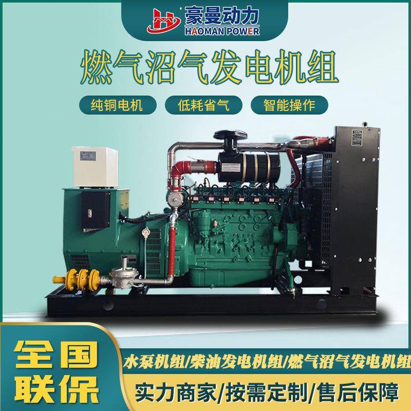 30kw沼气燃气发电机组50kw75KV100KW120kw150KW天燃气备用发电机